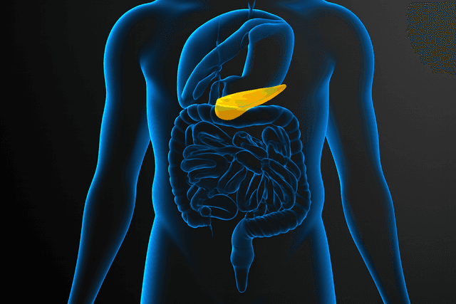 Our Services | California Surgical Specialists